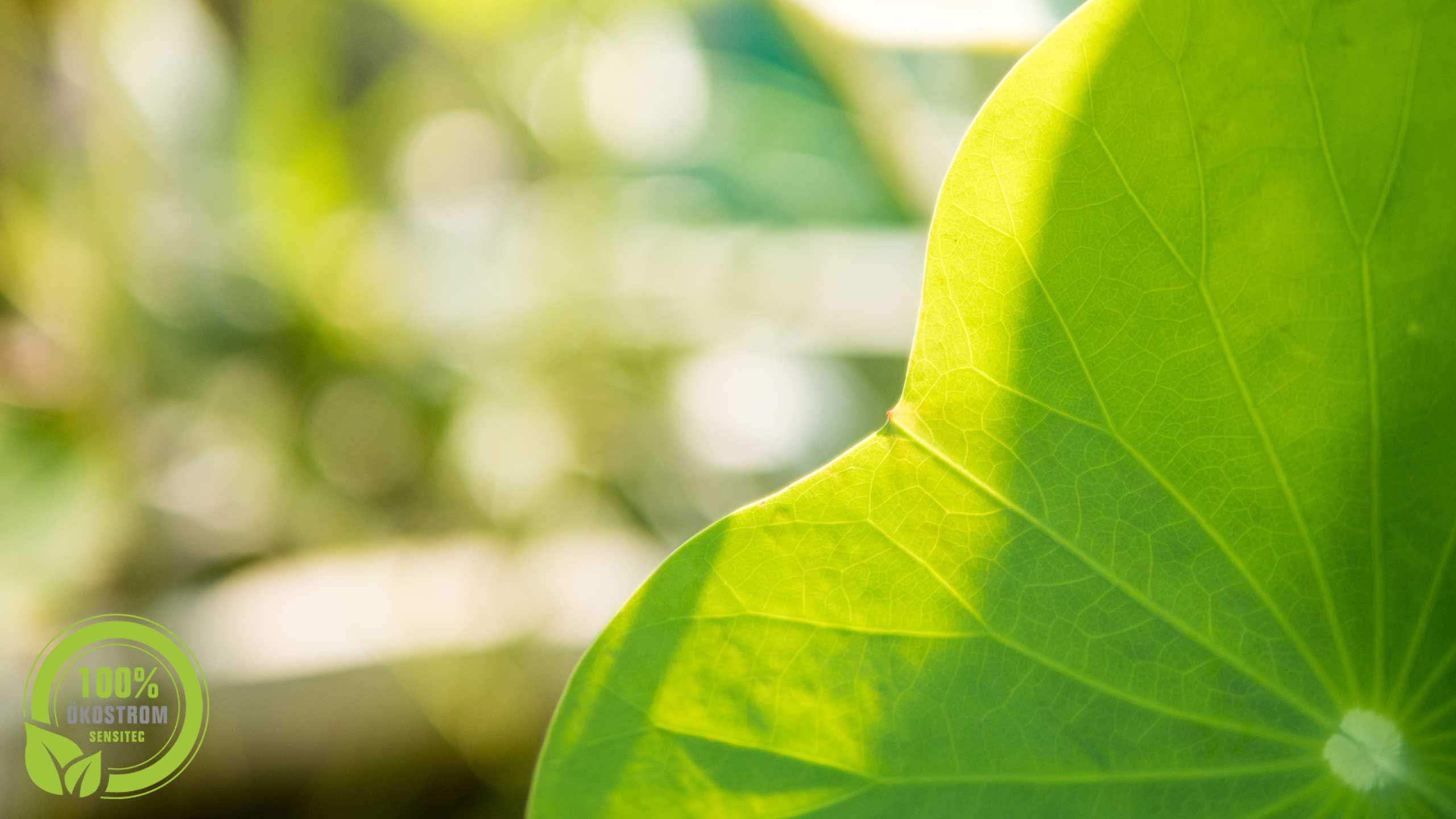 Energy and environmental policy - Sensitec